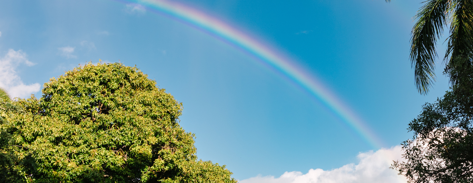 Play Imua 2025 March